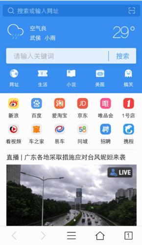 vivo手机默认浏览器图标