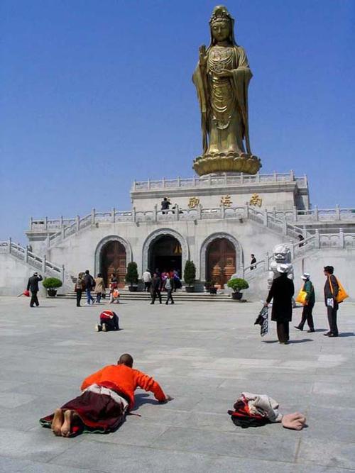 普陀山秒伤跟什么有关图标