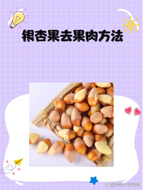银杏果处理截图