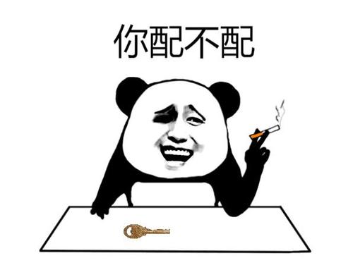 嗑瓜子每日专用
