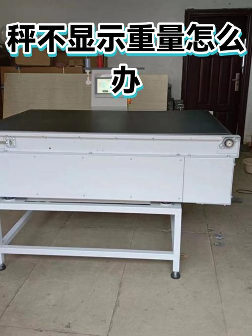 飞龙电子秤出单价不显示重量截图
