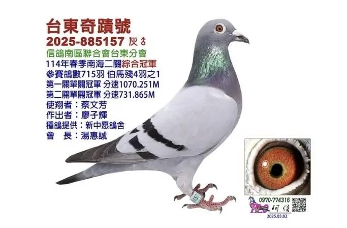 台湾鸽会排名一览表图标