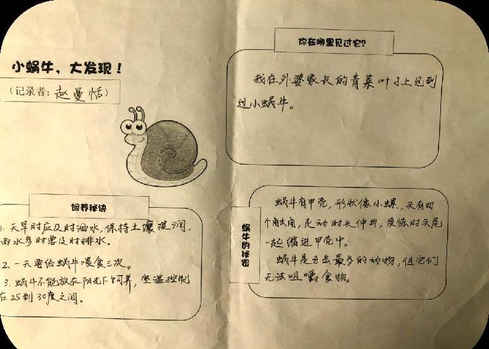 我的世界蜗牛图标