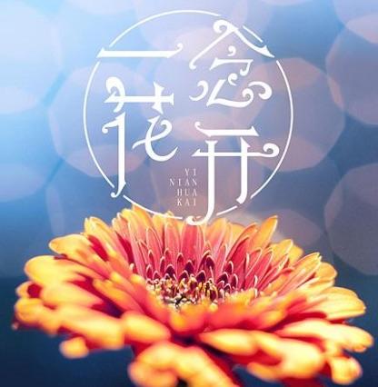 一念花开什么意思截图