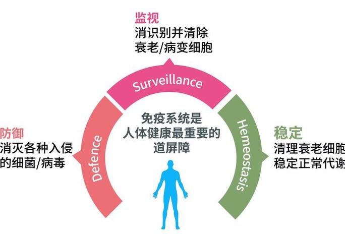 接吻交换肠道菌群好处截图