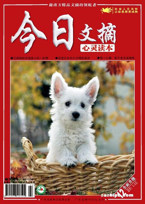 今日文摘截图