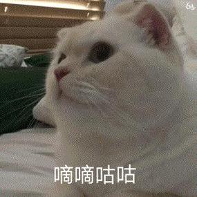 嘀嘀咕咕表情包图标