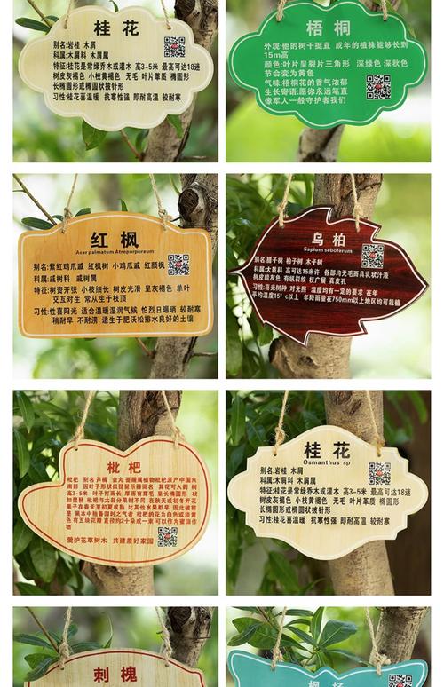 命名牌的作用图标