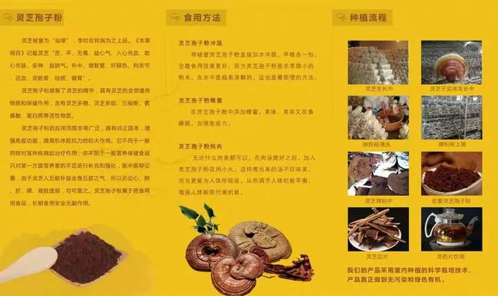 有机灵芝孢子功效与作用,怎么吃最好