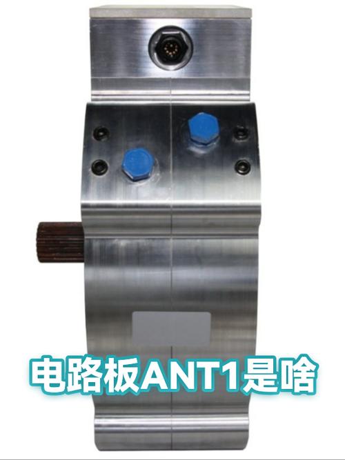ANT是什么缩写