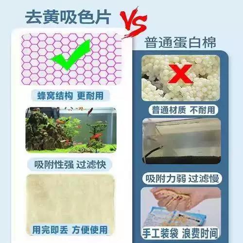 鱼缸有腥味怎么去除图标