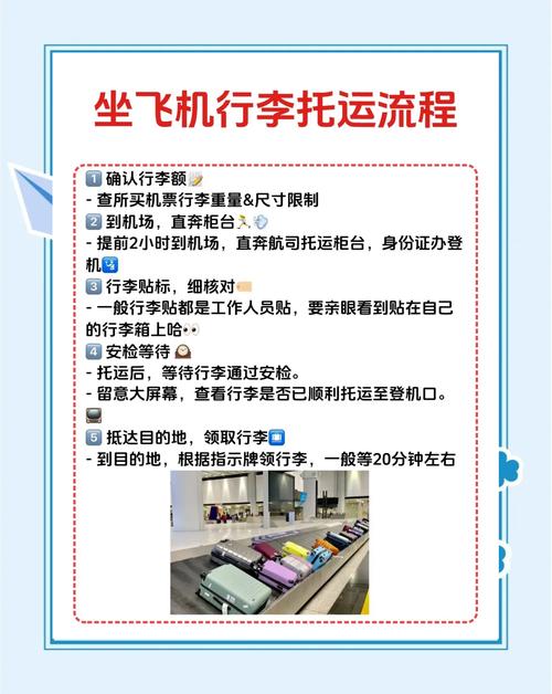 飞机可以托运ps4吗图标