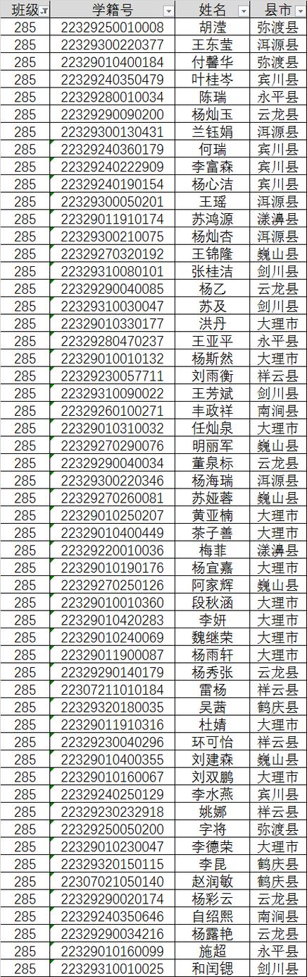 身份证号码和真实姓名2019图标
