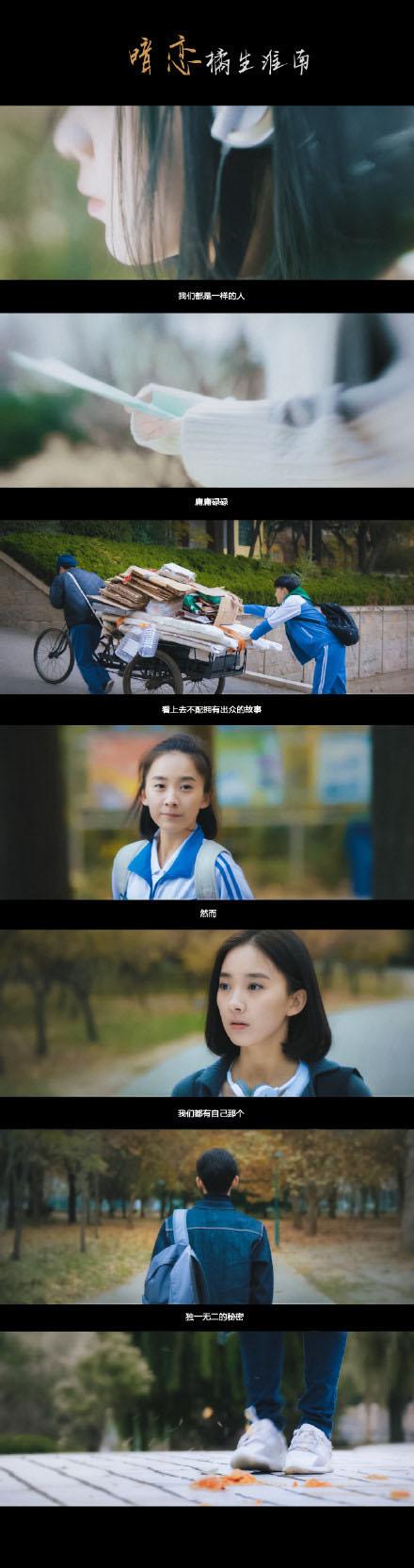 暗恋橘生淮南三部曲截图