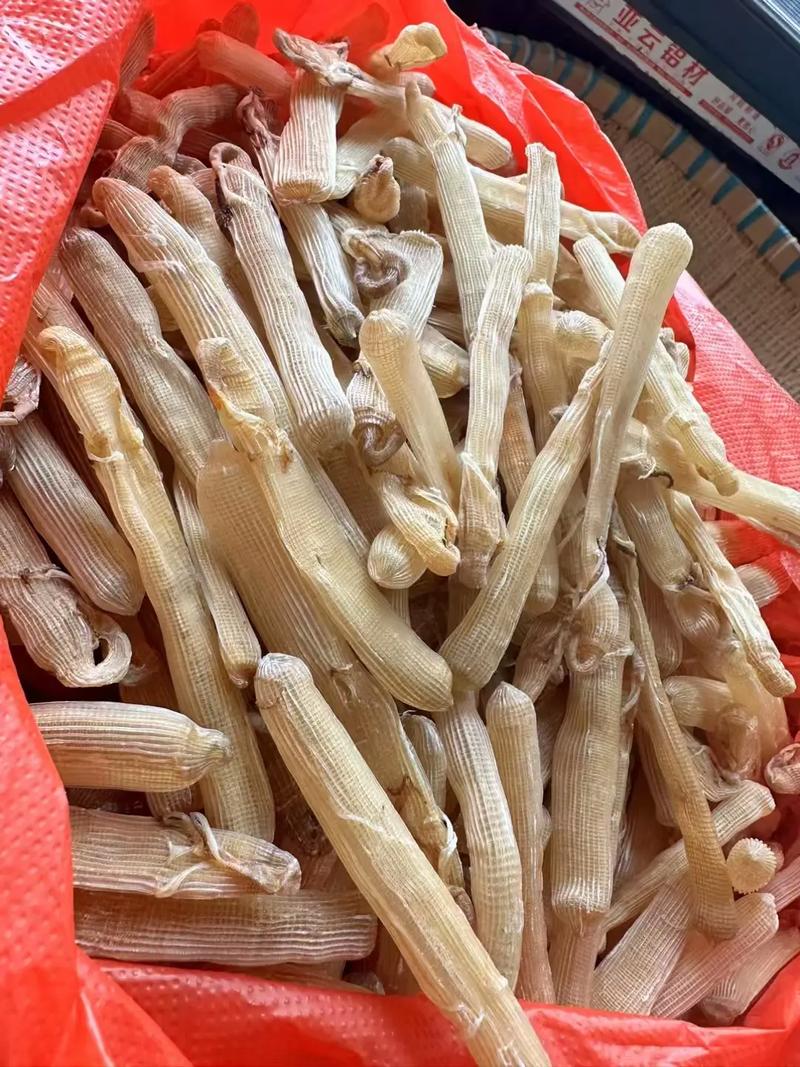 巨型沙虫的皮截图