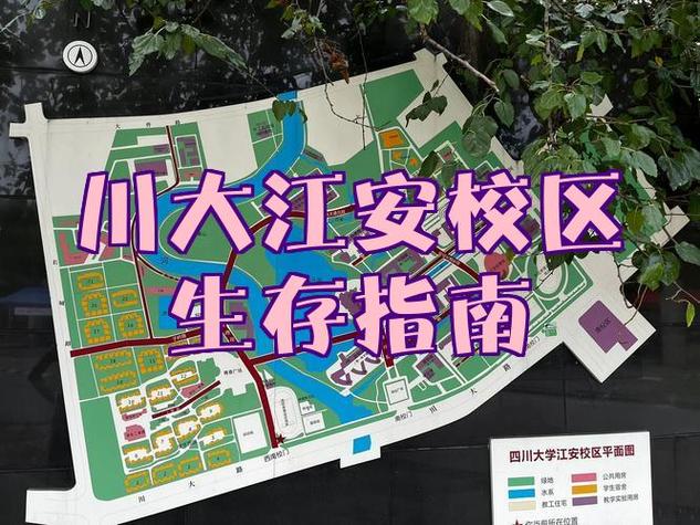 川大信息门户登录图标