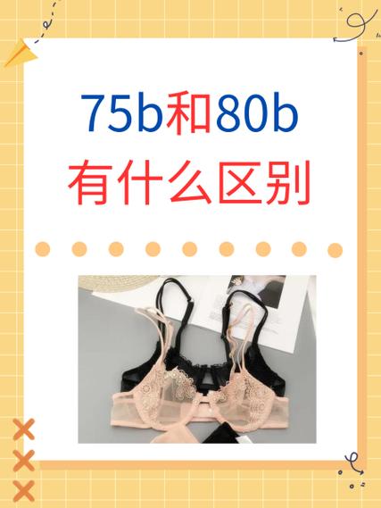 80A大还是75B大图标