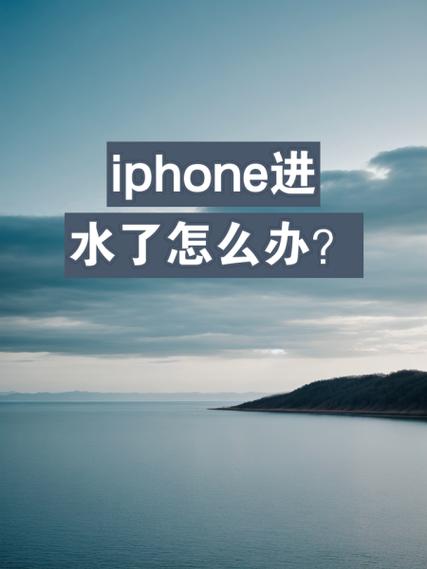 苹果进水了有必要修吗截图
