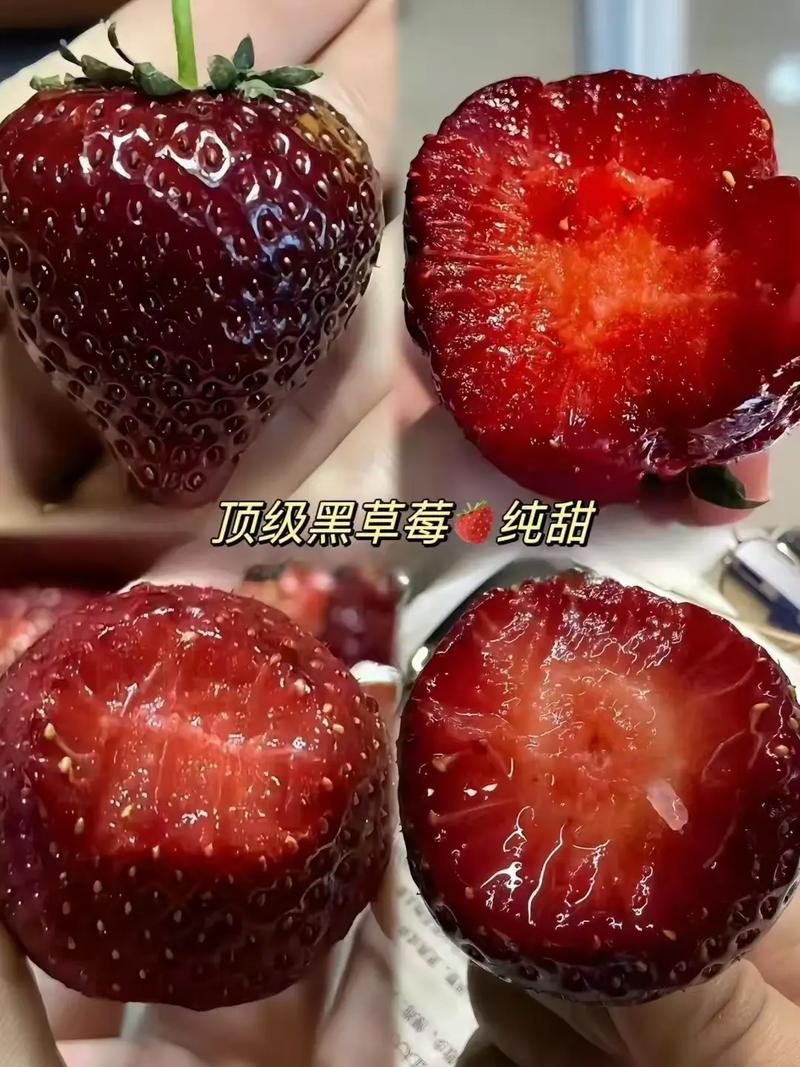 黑草莓属于什么档次图标