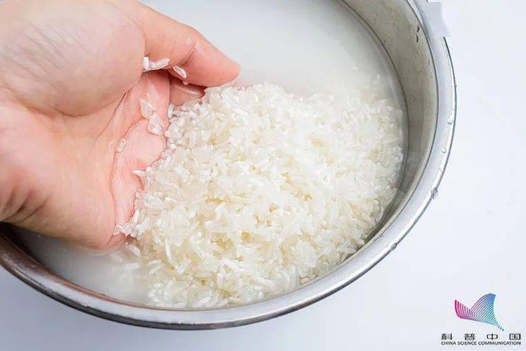大米泡在水里能放多久图标