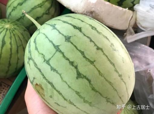看瓜的正确吃法图标