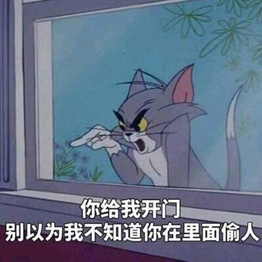 汤姆猫怼人版图标