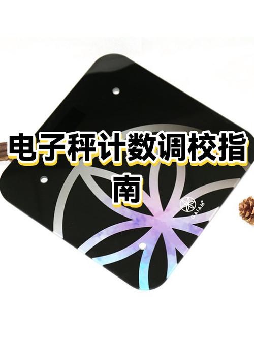 人体电子秤不准怎么调图标
