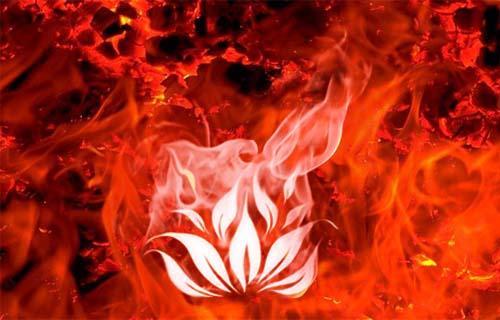 斗罗红莲业火九阳神功