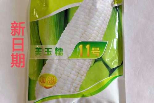 白色种子11