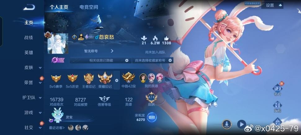 王者荣耀v10共享皮肤图标