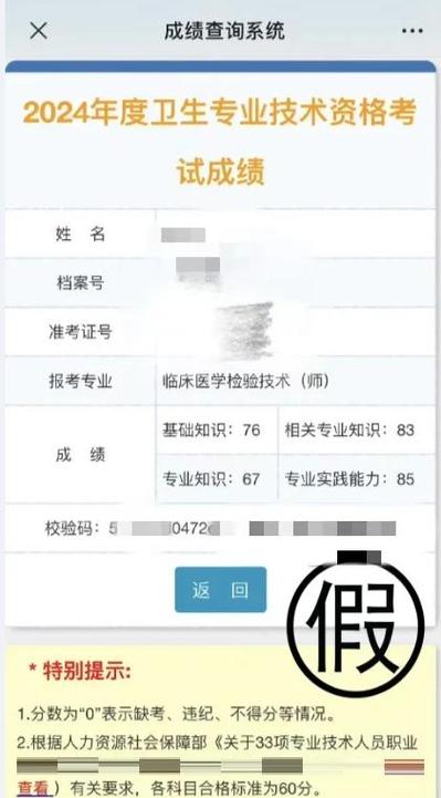 中国卫生考试成绩查询游戏截图