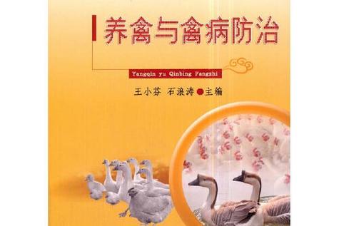 养禽与禽病防治截图