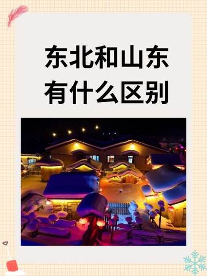 东北有多少山东人图标