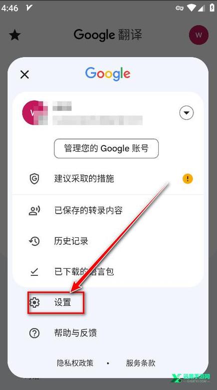 谷歌翻译悬浮球在哪截图