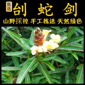 斩蛇剑截图