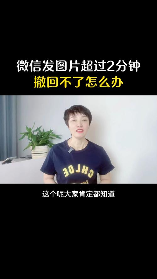 微信发了撤不回来怎么办截图