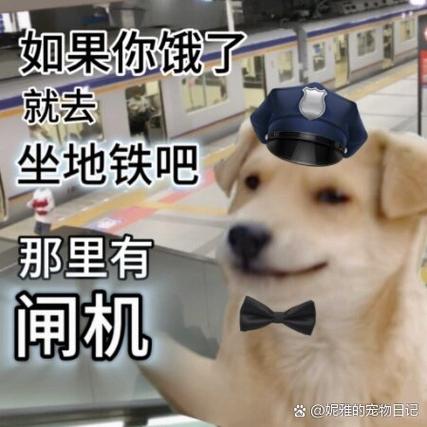怼广告狗表情包