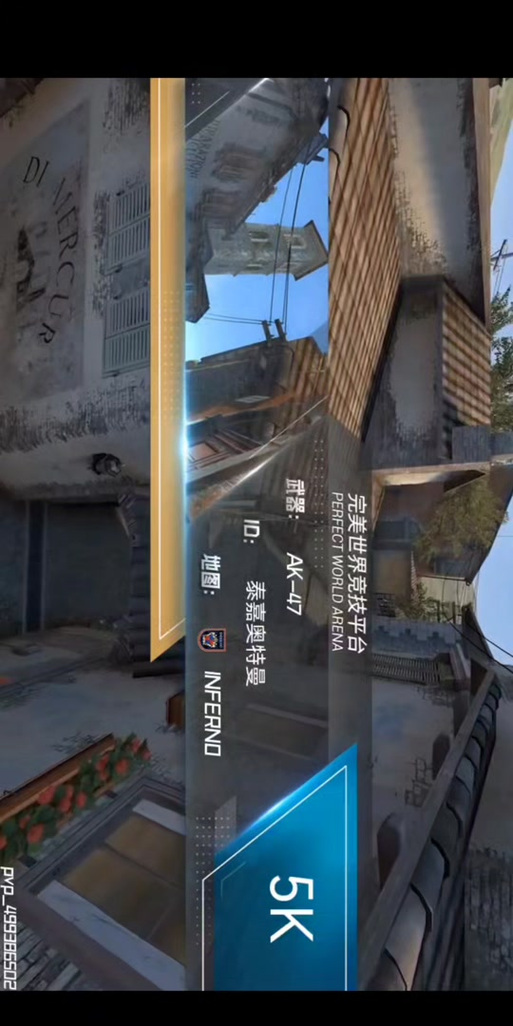 完美世界启动项设置在哪
