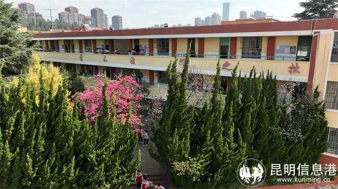 全寄宿制学校初中图标