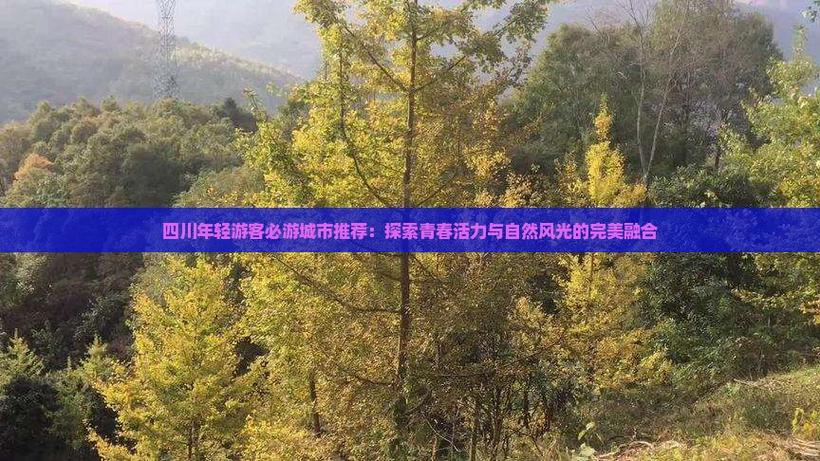 四川省中国青年旅行社官网图标
