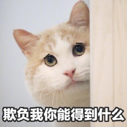 再让我欺负你一下下书包网截图