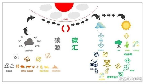 碳源碳汇是什么