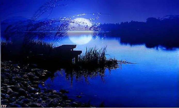 弦月夜下载图标