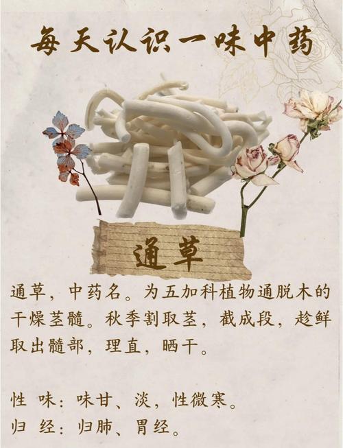 统统和通通的区别图标