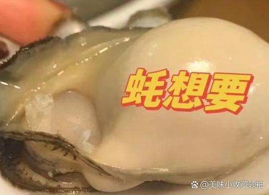 生蚝生意一般人干不了截图