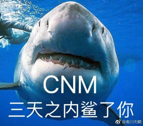 hetui梗的来源图标