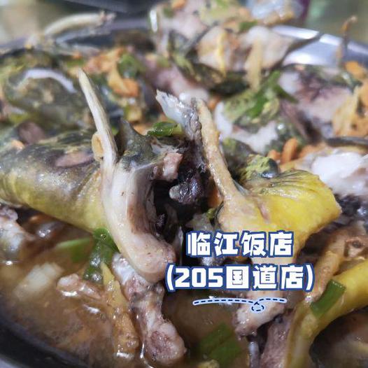 鱼划水哪里有卖截图