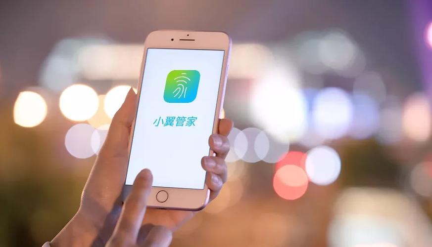 小翼管家看家图标