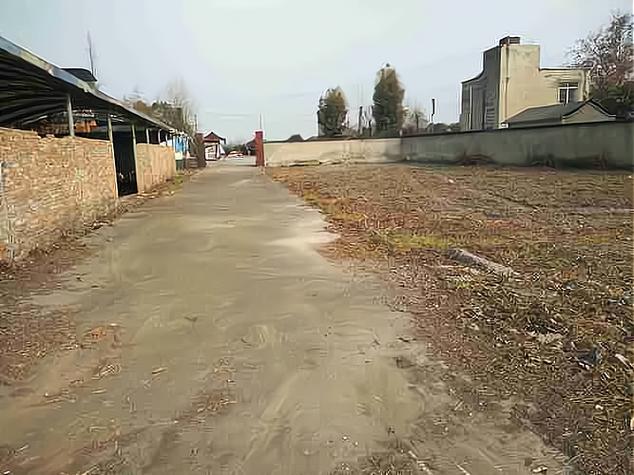 农村有一片空地能干什么图标
