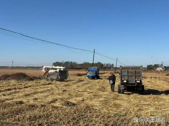 哪里有水稻田承包截图